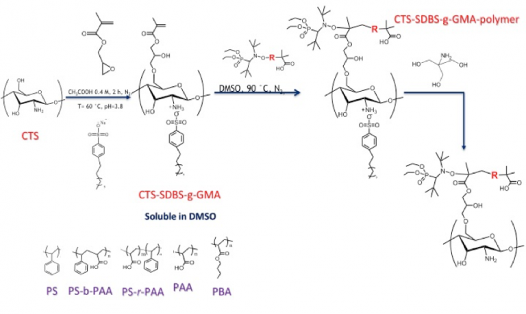 Graft Modification of Chitosan – Cunningham Lab